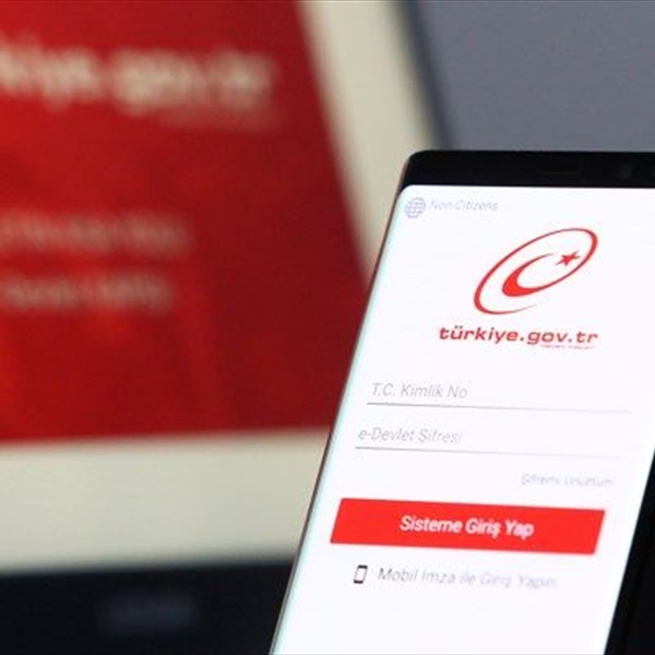 E-DEVLET portal | News | Acuad Group | Real Estate Turkey